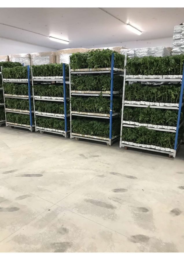 ΚΗΠΟΙ ΚΑΡΔΙΤΣΑΣ | Noisis