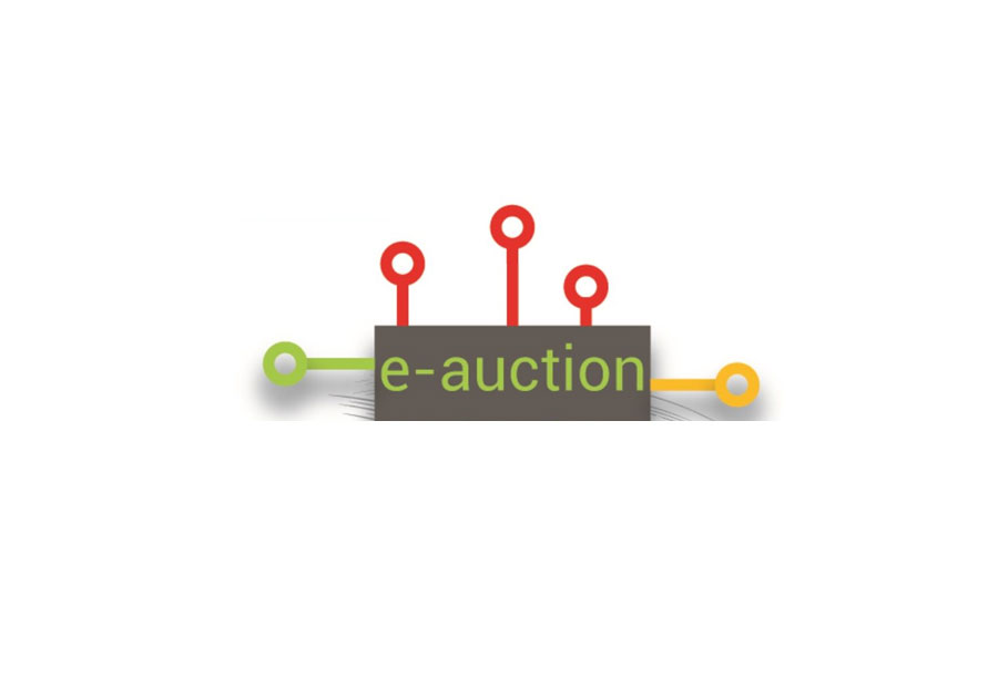 e-Auction | Noisis
